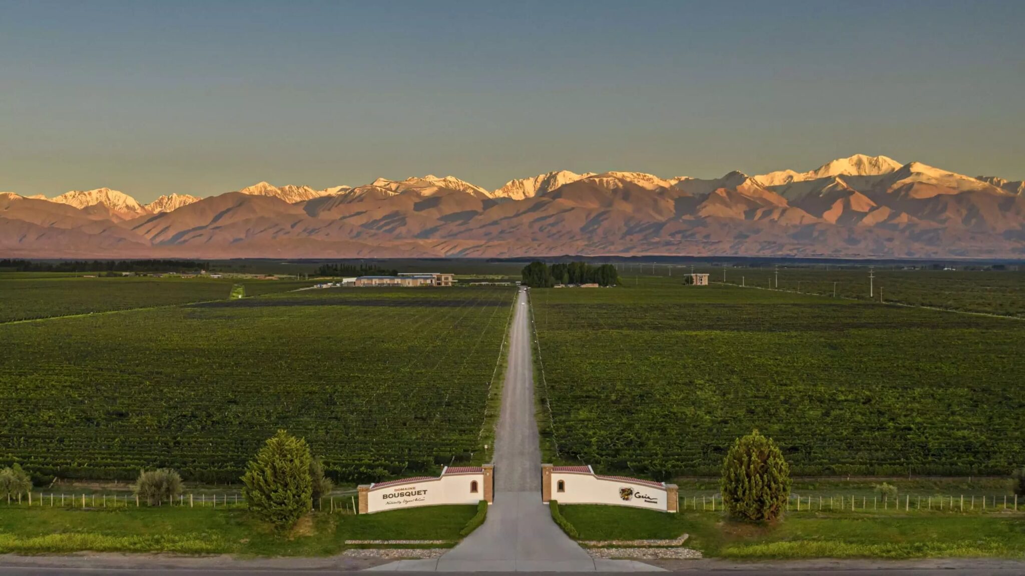 Private Wine Tours in Mendoza | 5/5 Rating on Tripadvisor
